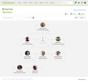GoProfiles Blog - 10 Best Org Chart Software Tools for 2025